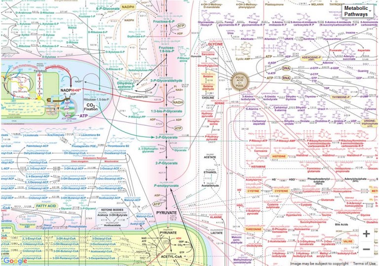 Hai Lab UCSB – Biochemistry