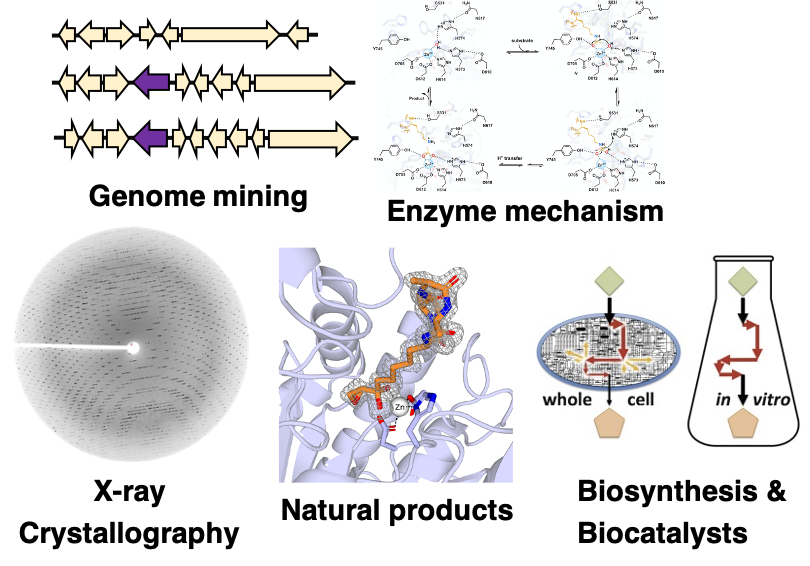 Hai Lab UCSB – Biochemistry