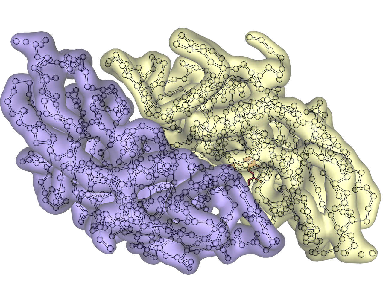 Photos – Hai Lab UCSB