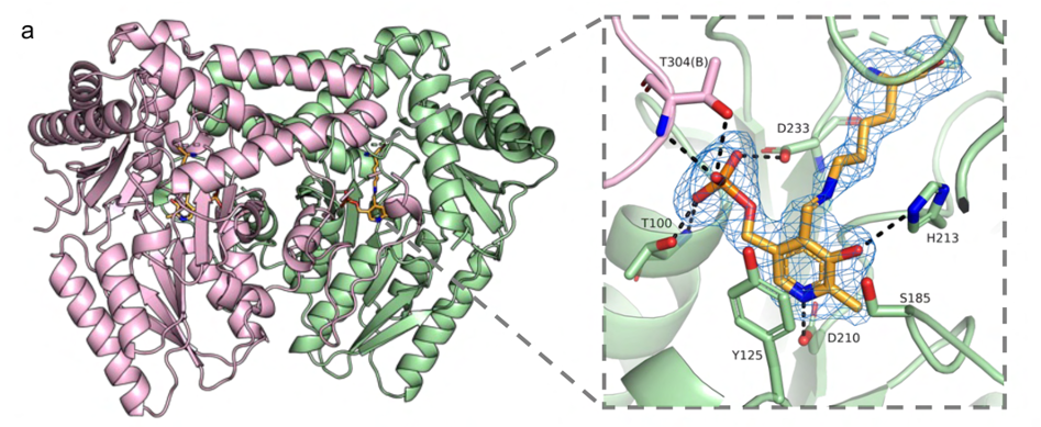 Selected Projects – Hai Lab UCSB