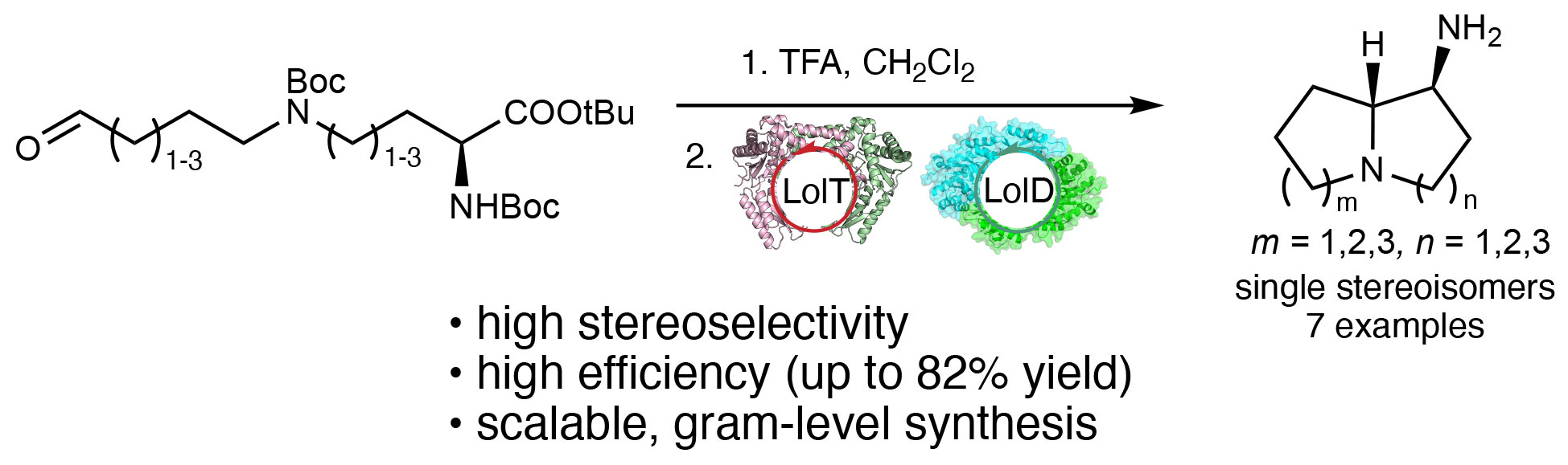 Publications – Hai Lab UCSB