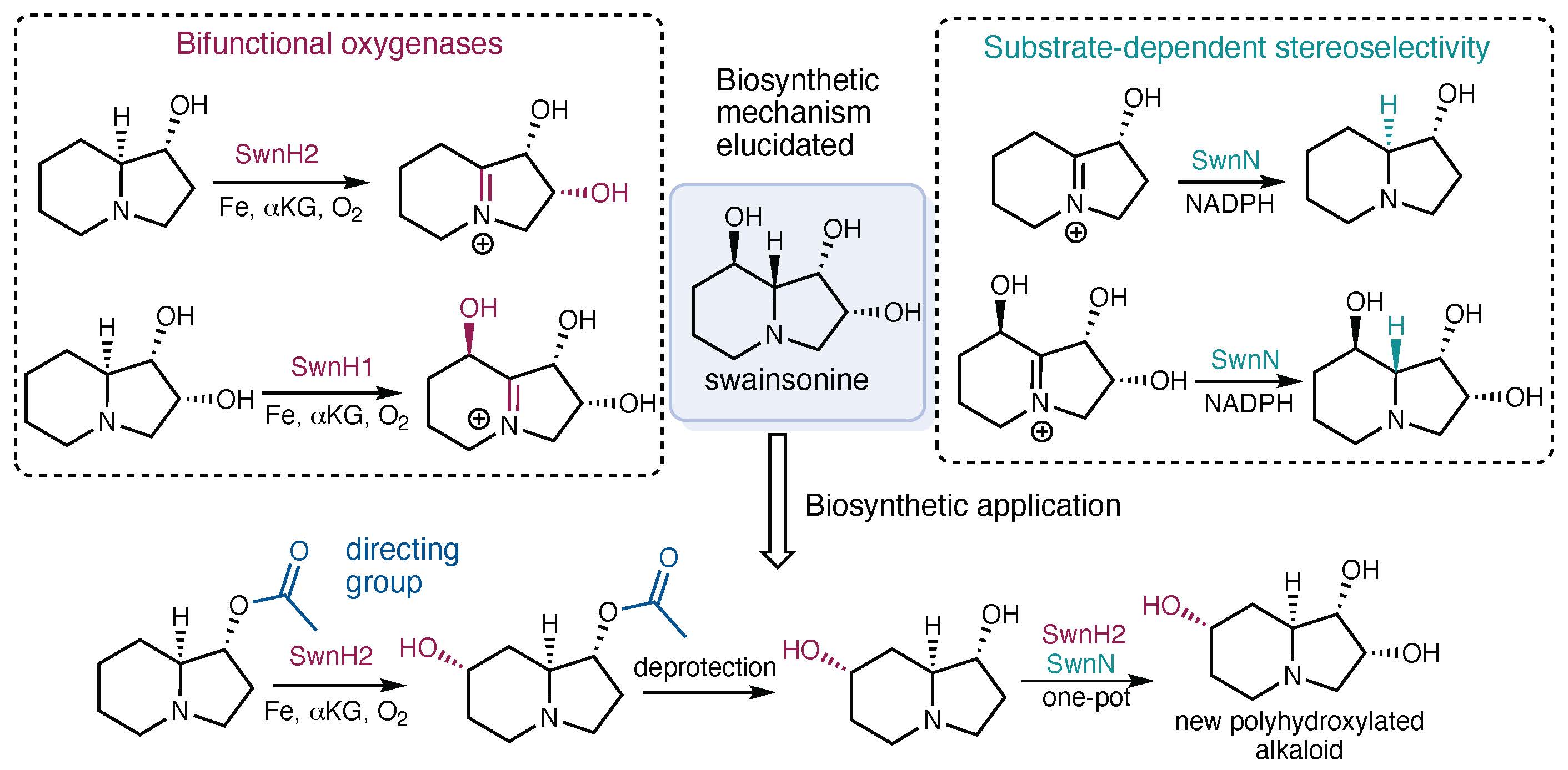 Publications – Hai Lab UCSB